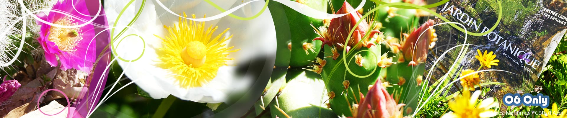 Jardin Botanique de la Ville de Nice - Guide touristique Côte d'Azur